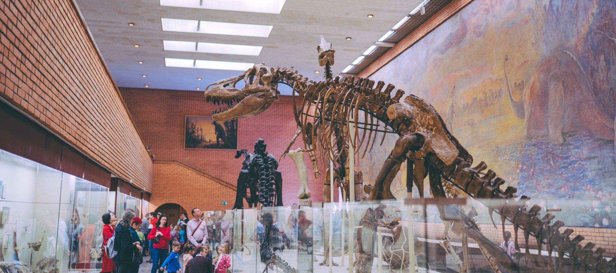 Should Christians Believe In Dinosaurs And Cavemen Core Christianity should-christians-believe-in-dinosaurs-and-cavemen-core-christianity